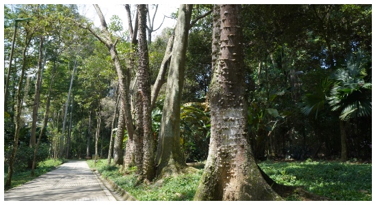 En el marco del Acuerdo Municipal 13 de 2021, se institucionalizó el 19 ...