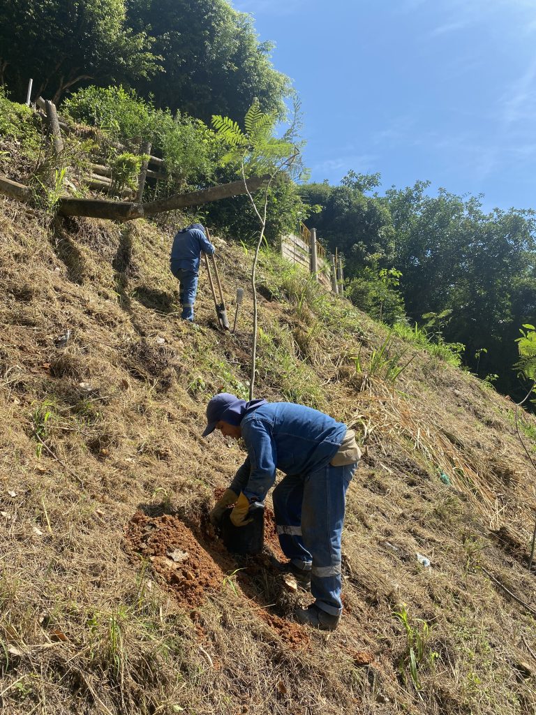 Recientemente, también se recuperó otro talud dentro del barrio Nueva Granada , ubicado ...