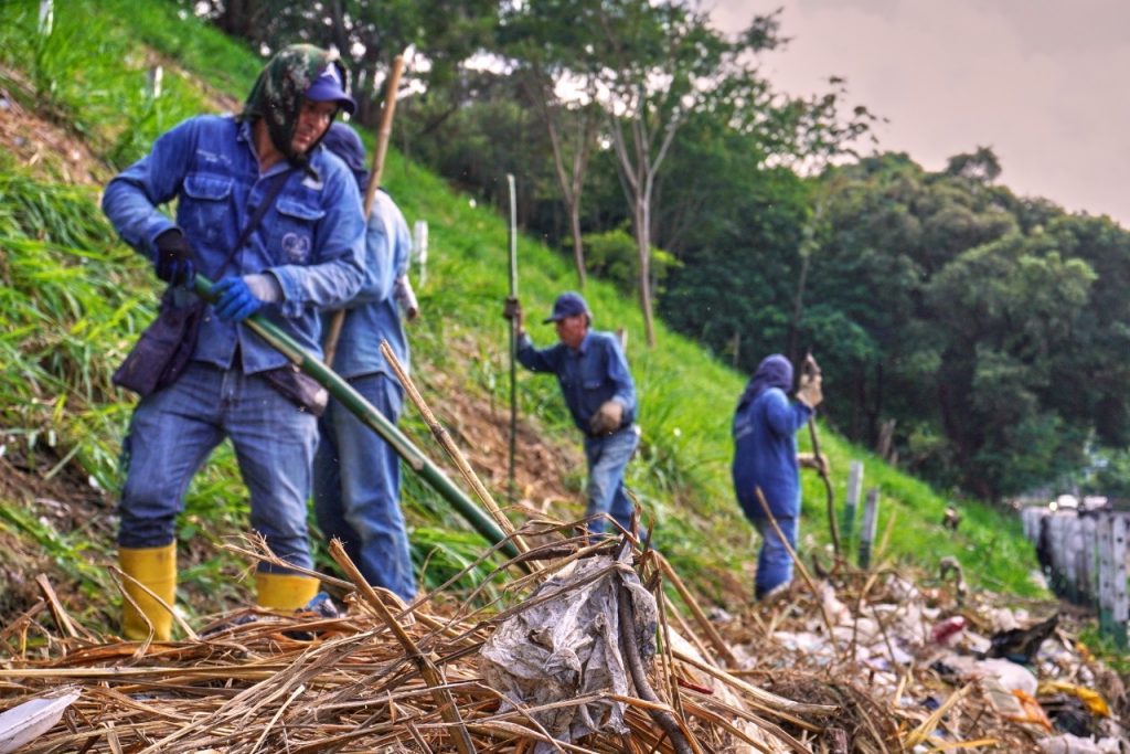 Hay que señalar que, la capa natural de los taludes no solo enriquecen ...